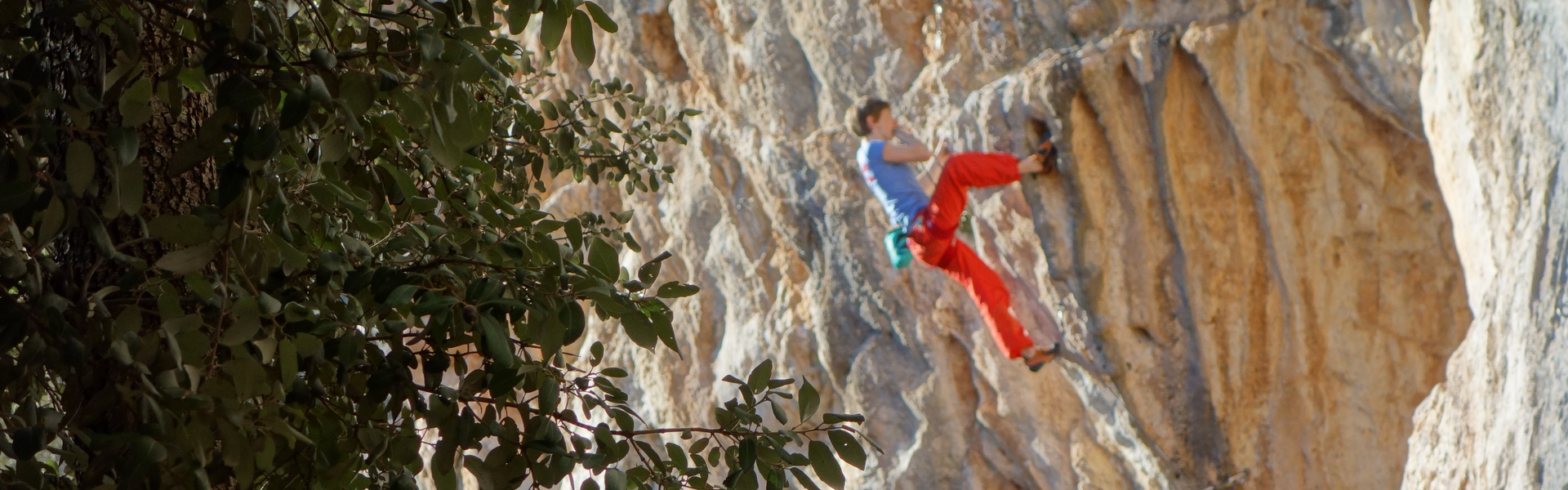 Rachel Nilwik | Your Sport Pro